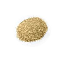 China Vitamin B and lysine hydrochloride enriched beer yeast hydrolysate powder for animal feed for sale