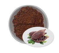 China Lowest Price Bulk Cocoa Powder  Cocoa Extract Powder for sale