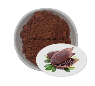 China Lowest Price Bulk Cocoa Powder  Cocoa Extract Powder for sale