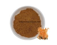 China Pincredit Supply Pure Bulk Price Cordyceps Militaris Extract Powder 1%- 98% Cordycepin for sale
