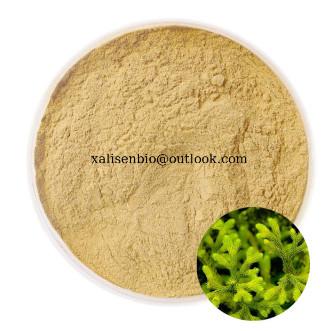 China Wholesale Bulk Natural Lycopodium Extract Powder For Sale for sale