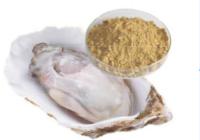 China Oyster Extract  oyster powder for sale