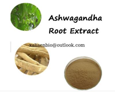 China Anti-stress Highest Potency Ashwagandha Extract 2.5% withanolides for sale