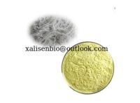 China Lichen Usnea Extract   Supply High Quality 98% Usnic Acid for sale