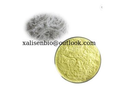 China Lichen Usnea Extract   Supply High Quality 98% Usnic Acid for sale