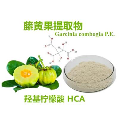 China High quality Man Care Cnidium extract Cnidium Monnieri Extract 10%-98% Osthole for sale