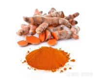 China Best quality bulk curcumin powder, price curcumin Curcuma extract/Turmeric extract for sale