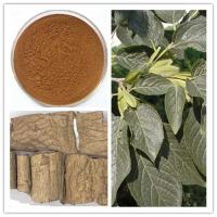 China Eucommia ulmoides extract chlorogenic acid powder by HPLC with factory price for sale