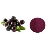 China High quality and pure acai berry brazil, acai berry bulk Acai Berry Extract for sale