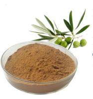 China High quality pure olive leaf extract Hydroxytyrosol powder for sale