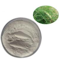China Natural Sophora flavescens Extract Matrine powder 98% for sale