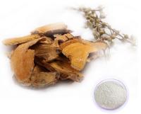 China Top sale polygonum cuspidatum root extract resveratrol powder, resveratrol bulk powder for sale