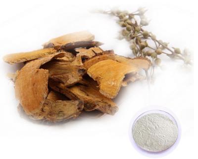 China Top sale polygonum cuspidatum root extract resveratrol powder, resveratrol bulk powder for sale