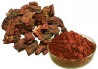 China Natural Pine Bark Extract in Anti-aging 25%,95% Proanthocyanidins UV for sale