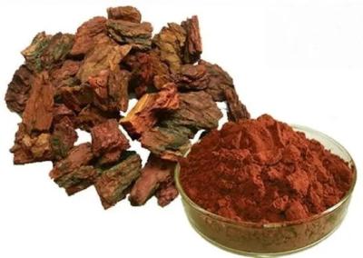 China Natural Pine Bark Extract in Anti-aging 25%,95% Proanthocyanidins UV for sale