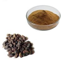 China Glossy Privet Fruit Extract/ligustrum Lucidum Fruit Extract Oleanolic Acid Stevioside Stevia Extract Neotame Powder for sale