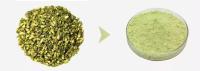 China High Quality Bulk Price Natural Sophora Japonica Extract 98% Luteolin Powder for sale