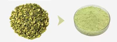 China High Quality Bulk Price Natural Sophora Japonica Extract 98% Luteolin Powder for sale