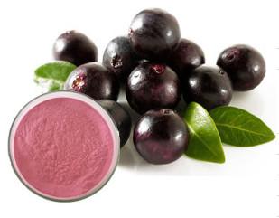 China 100% Natural Acai berry fruit powder for sale
