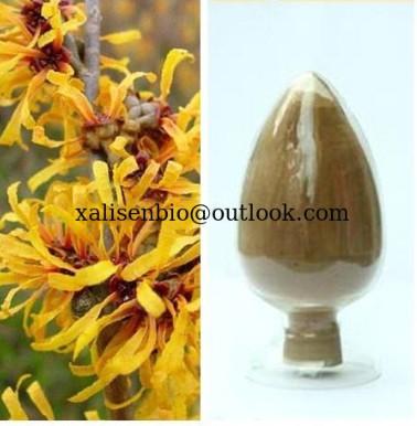 China Natural 10: 1 20: 1 Witch Hazel Extract for sale