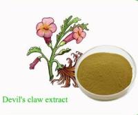 China 100% Natural and Organic 3-5% Harpagoside Devil's Claw Extract for sale