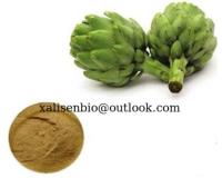 China Cynara Scolymus Extract 5% Artichoke Acid Cynarin Artichoke Extract Powder for sale