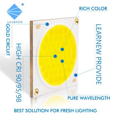 China High Power Two CCT Epistar Cob LED Chip Super CRI 500W 1000W For Floor Lamp for sale