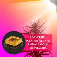 China 290nm 293nm 295nm UV LED Chips 300nm 305nm 310nm 315nm For Medical Treatment for sale
