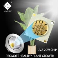 China 2828 385nm 12000-14000mW UV Chip LED With Low Thermal Resistance for sale