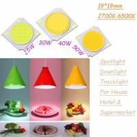 China 12W 24W 36W Flip Chip COB LED white color BICOLOR-STARRY super aluminum substrate for sale