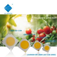 China For scene light flip chip cob led 100w 200w 300w high power chip high cri80 2700- 6000k for sale