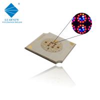 China Full Spectrum 9w-18w LED COB Chip 1414 1919 Suitable For Plant GROW for sale