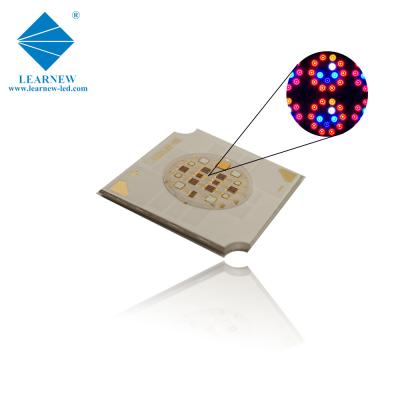 China Full Spectrum 9w-18w LED COB Chip 1414 1919 Suitable For Plant GROW for sale