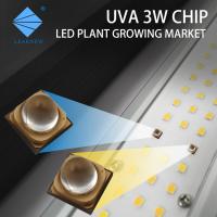 China Smd 3535 3838 8025 Uv Led Chip 365nm For Uv Curing for sale