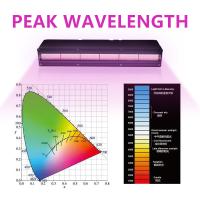 China Ultra High Power 3000w UV LED Curing System For Exposure Machine for sale