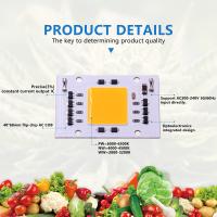China AC 200-240V COB LED Chips DOB 4060 30W 50W For LED Outdoor Light for sale