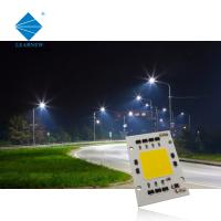 China Full Spectrum AC 50w LED COB Chip 200v 240v 4046 AC LED Chip For Grow Light for sale
