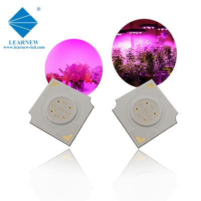China Full Spectrum Grow Light LED COB 4W 12-18 Umol/s DC23-26V 0.17A for Indoor Plant Light for sale