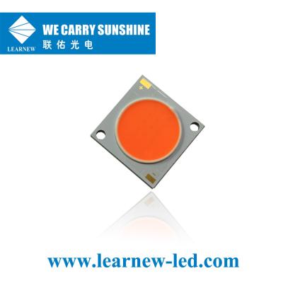 China Full Spectrum Grow Light LED 380-780nm DC35-38V 2828 50w For Indoor Plant for sale