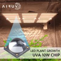 China 10W 365nm 385nm 395nm 6-7V Uva 3W Led Chips For UV Curing for sale