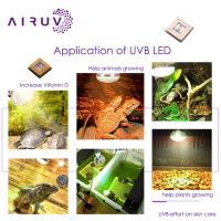 China Uva Uvb UV LED Chip 3535 3838 2828 1616 1w 3w 10w 50w 100w 200w 300w Led Uvc Led Chip for sale