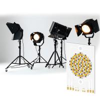 China Professional 300W Five Color COB LED Chip 3856 36-39V for Photographic Light OEM/ODM for sale