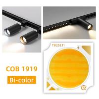 China 1919 Dual Color COB LED Chip 18W 18W/25W 25W VF 36-38V for Adjustable Photography Lamp for sale