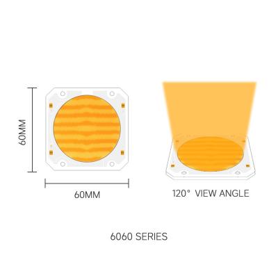 China Bi color Cob Led Chip 6060 Dual CCT 2700K 6500K Cob Chip High Power 300W*2 LEDs for sale