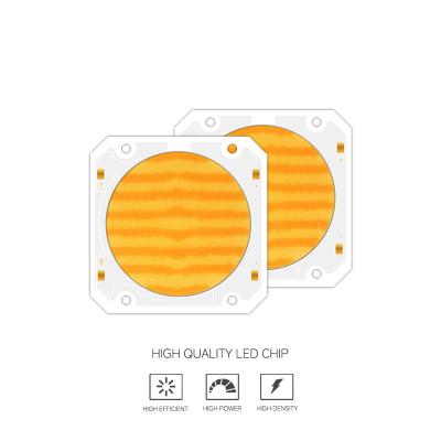 China OEM ODM wavelength BI Color 205V smd led chip Warm white + white 6060 SMD LED chips Emitting for sale