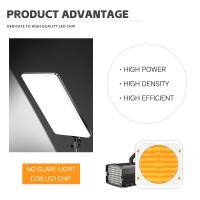 China OEM ODM wavelength BI Color 205V smd led chip Warm white + white 6060 SMD LED chips Emitting for sale