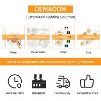 China OEM ODM wavelength BI Color 205V smd led chip Warm white + white 6060 SMD LED chips Emitting for sale