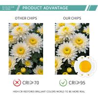 China 200W Chip 6060 LED COB Chip for Photography Light VF42-46V 51-53V LM/W 95 for sale