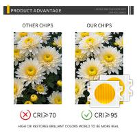 China Customized Power LED 300W Bi-color Warm + Cold White 4055 Bicolour Two CCT CRI95 COB LED Chip for sale