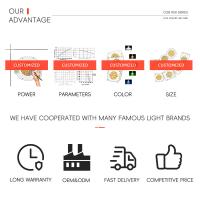 China Constant Voltage 42V-46V Five Color COB LED Chips 2700K+6500K High Power 300W 700W COB LED 5050 for sale